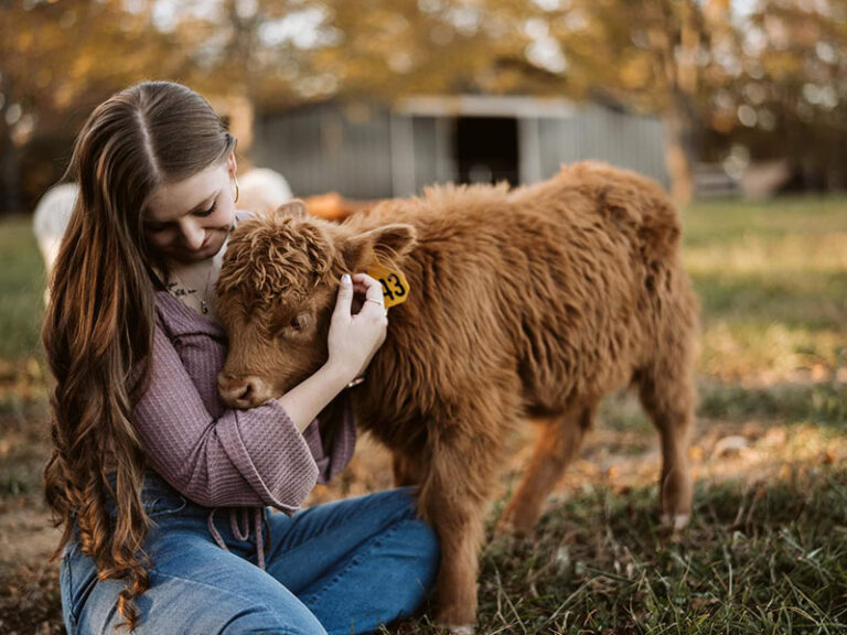 Ridge Straws - Mini Scottish Highland Semen Straws For Sale